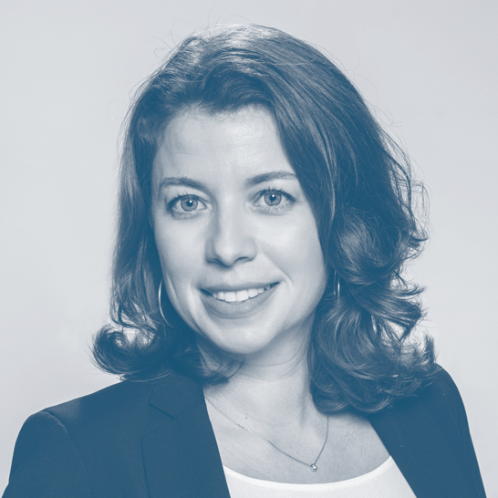 The scientific committee