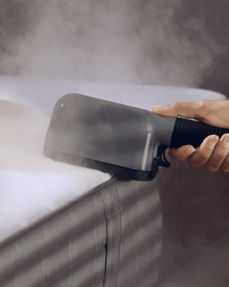 IZZI PLUS disinfects and steams your home.